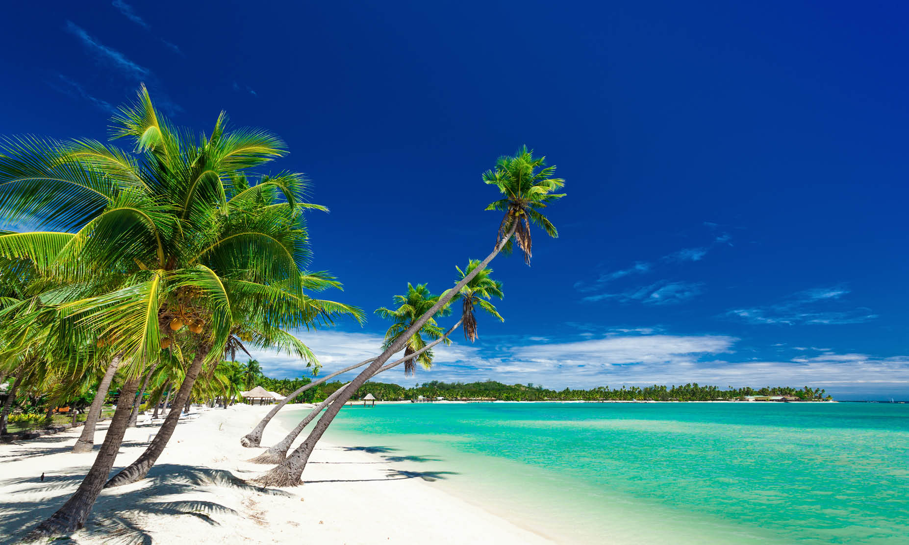 We Make Travel Dreams Come True | TripADeal