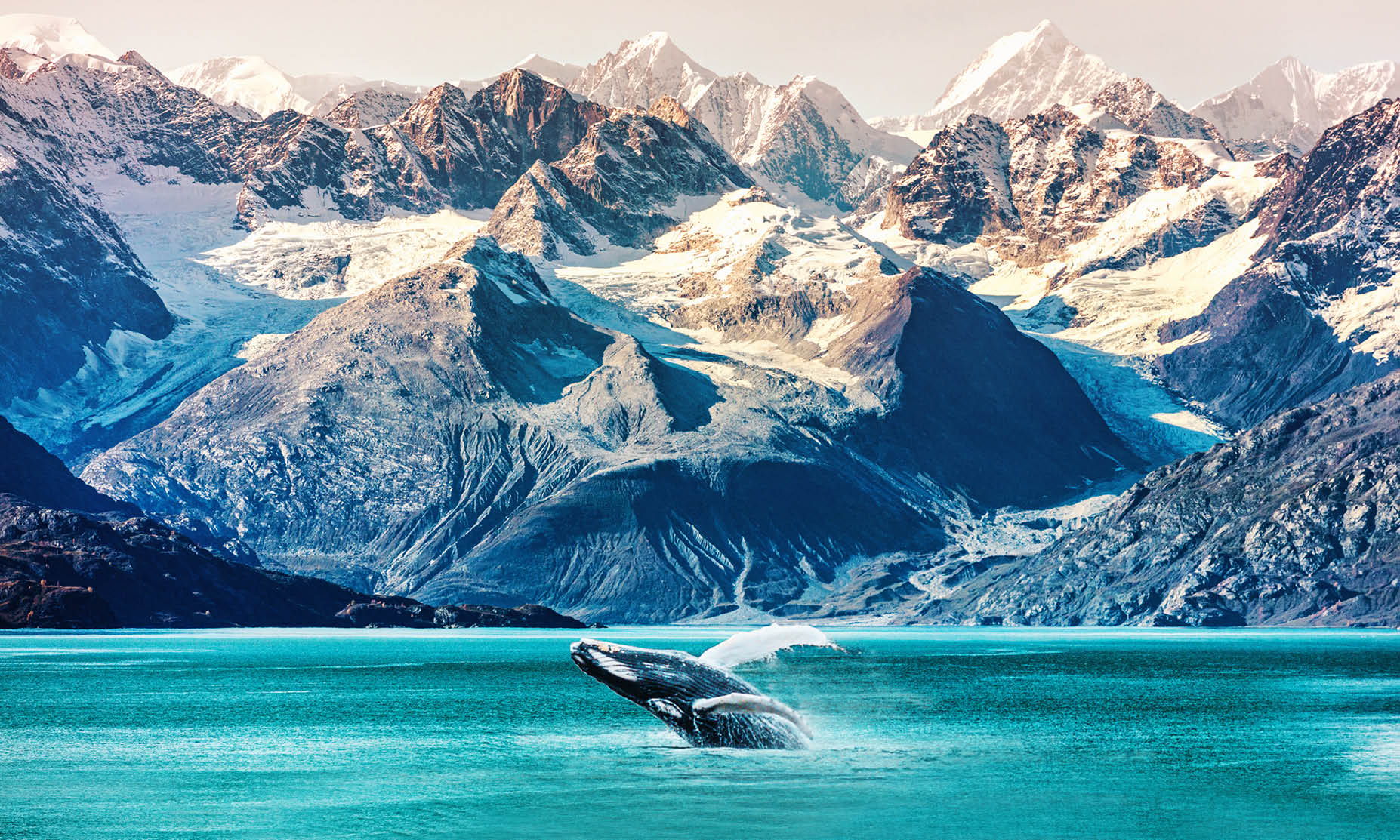 Tokyo to Alaska Passage | TripADeal