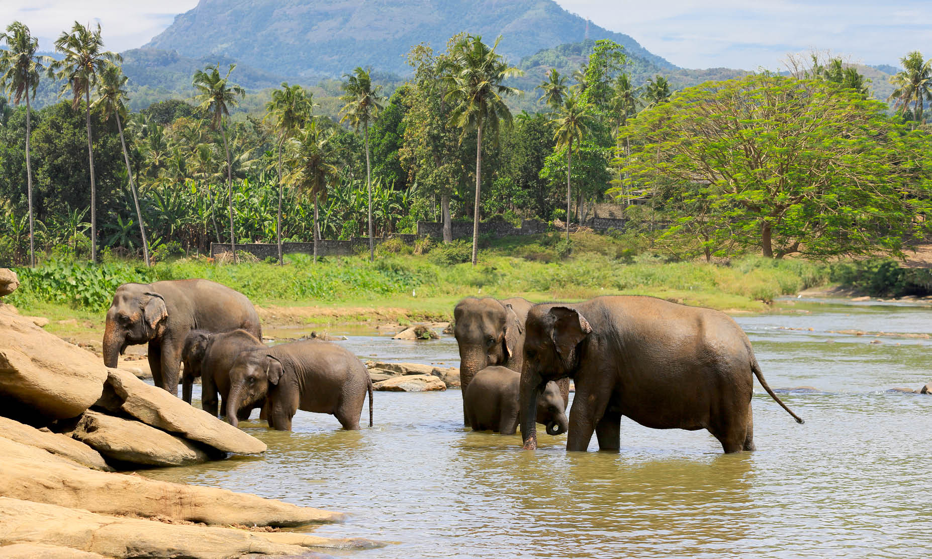 5 Star Sri Lanka Tripadeal
