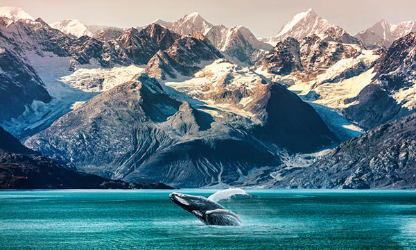 Alaska Travel Deals | TripADeal